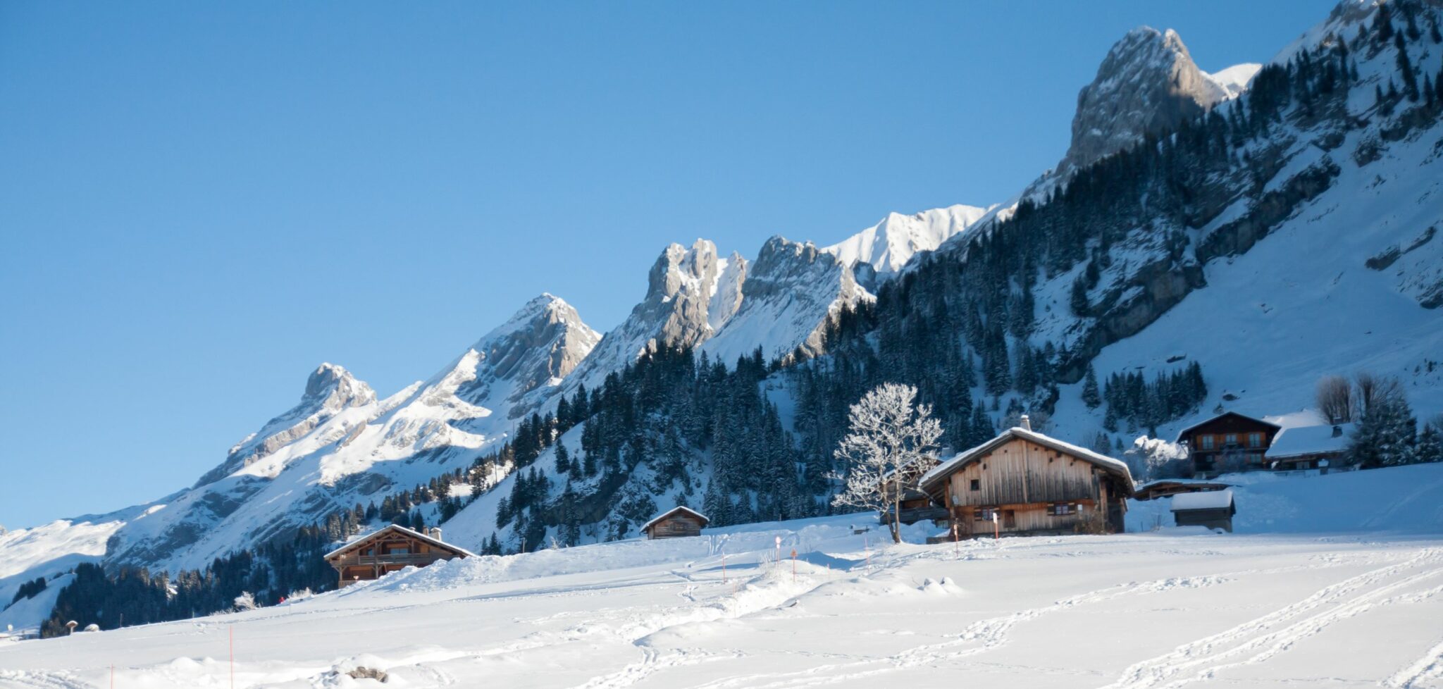 BORNE ET ARAVIS - Tous Acteurs des Savoie