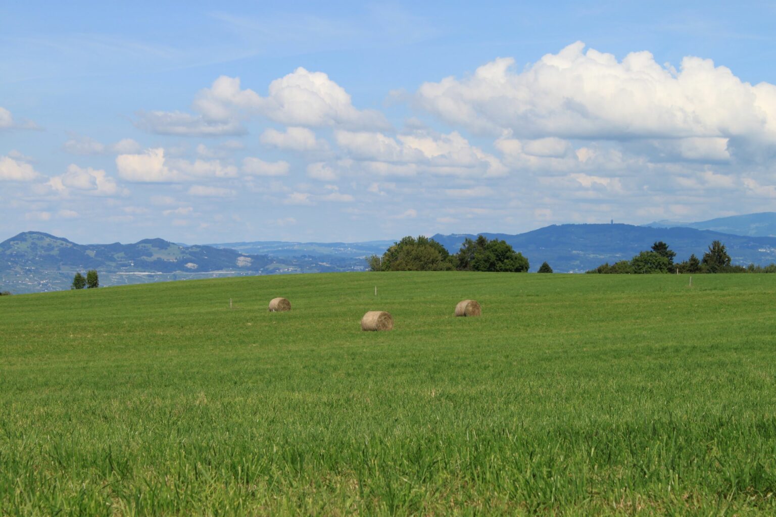 DOUVAINE - Tous Acteurs des Savoie